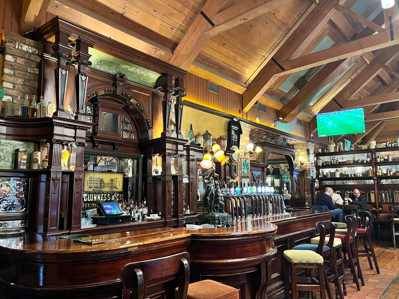 Weirdo Guide to Dublin Pubs: Fagan's - Weirdo Guide to Dublin Pubs