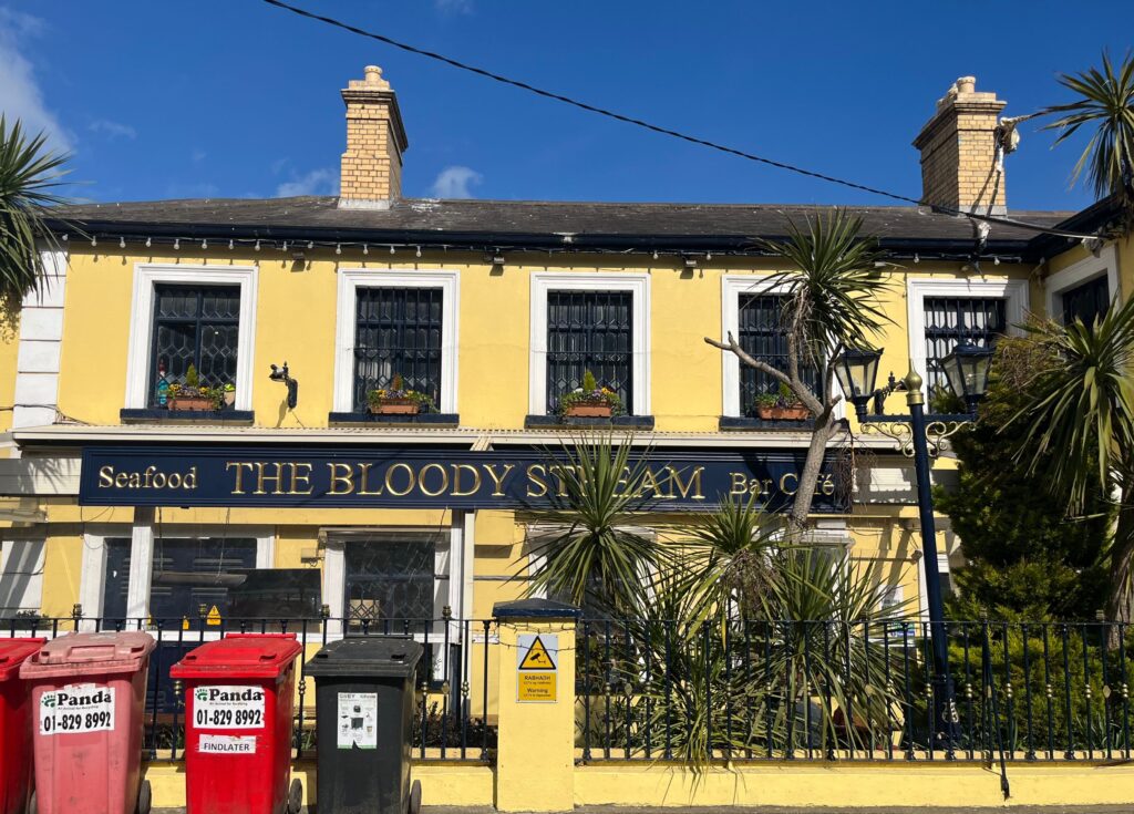 Weirdo Guide to Dublin Pubs: The Bloody Stream - Weirdo Guide to Dublin ...
